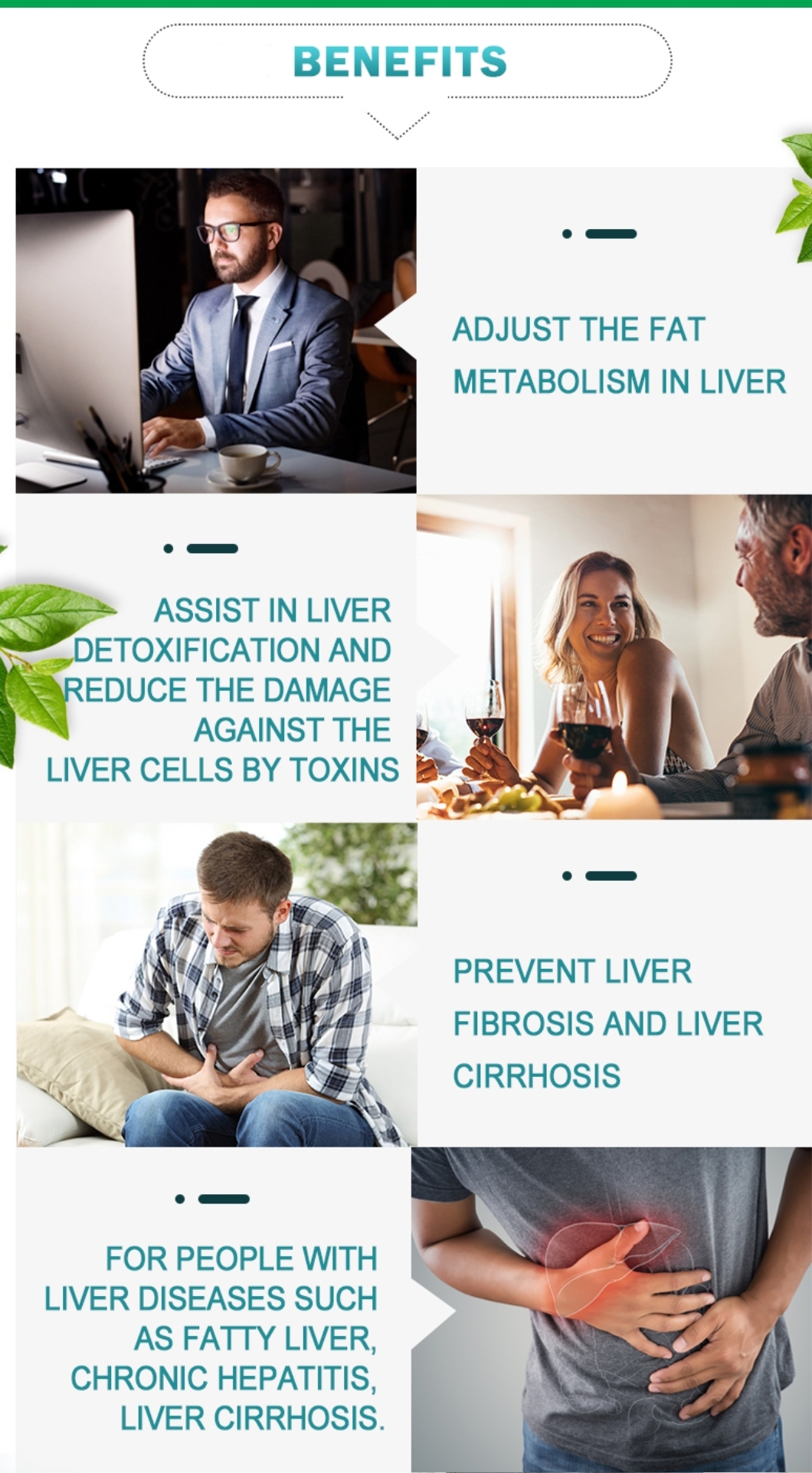 Livergen Capsule: Adjust Liver Fat Metabolism and Prevents Liver Disease